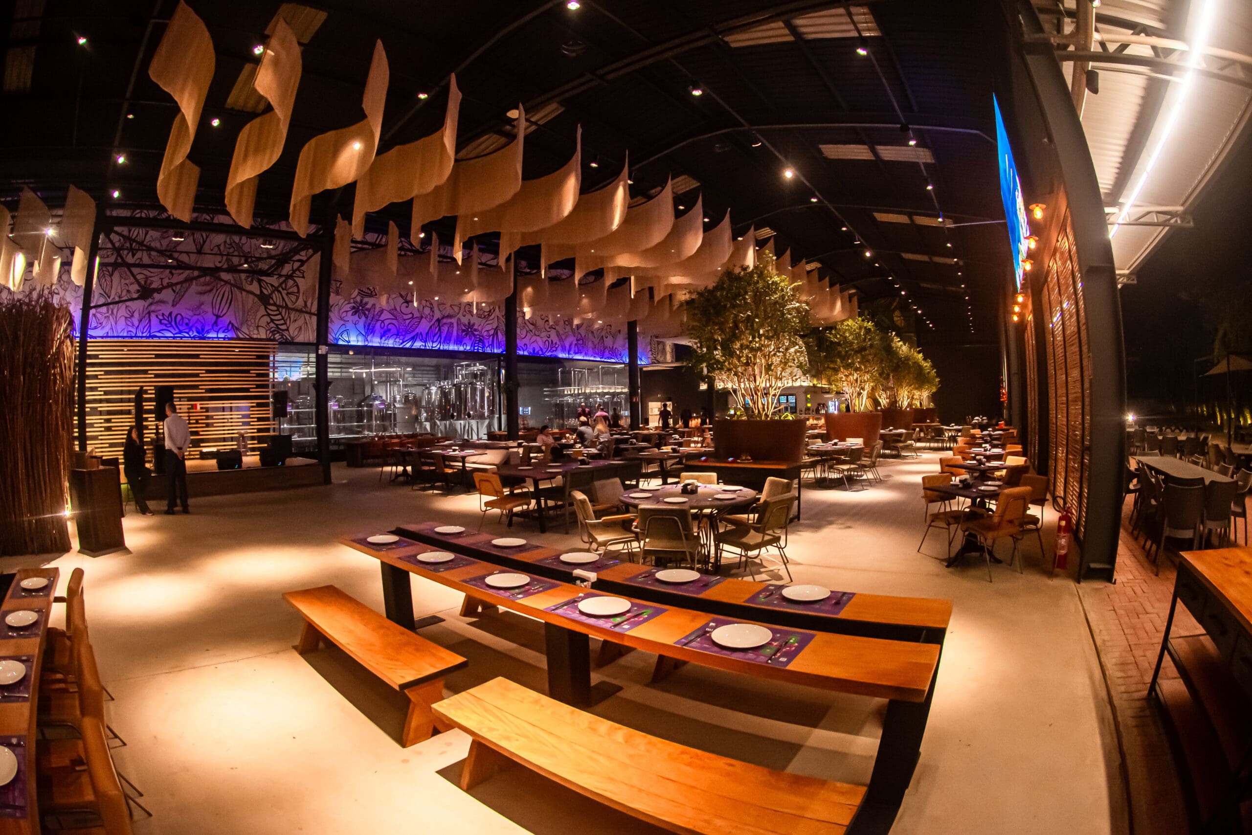 Música e gastronomia imperdíveis na Monka Cervejaria - Jornal Tribuna